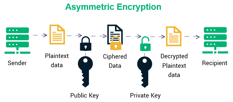 Cryptography: Encryption and Hashing – Information Technology